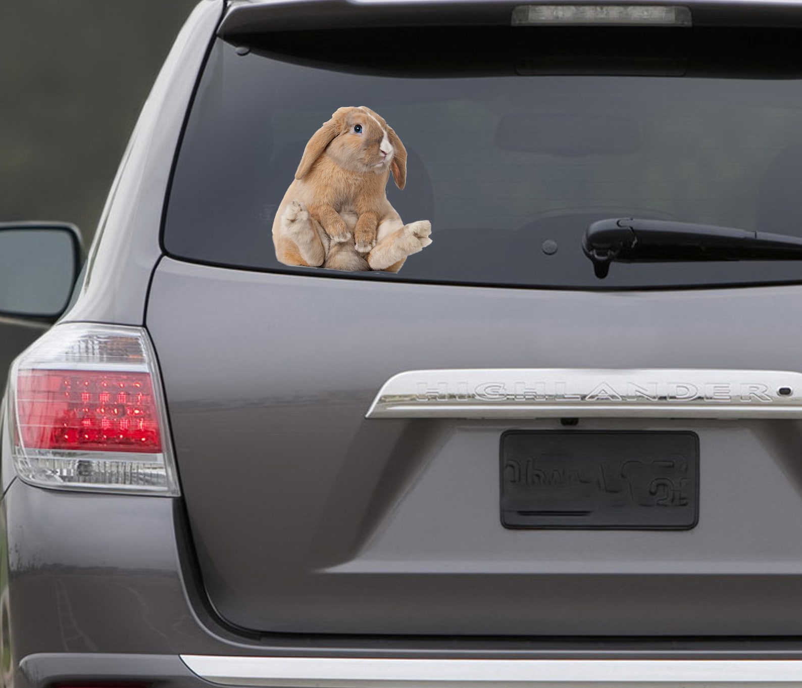 Rabbit Window Sticker Car Sticker Rabbit Car Decal - Etsy