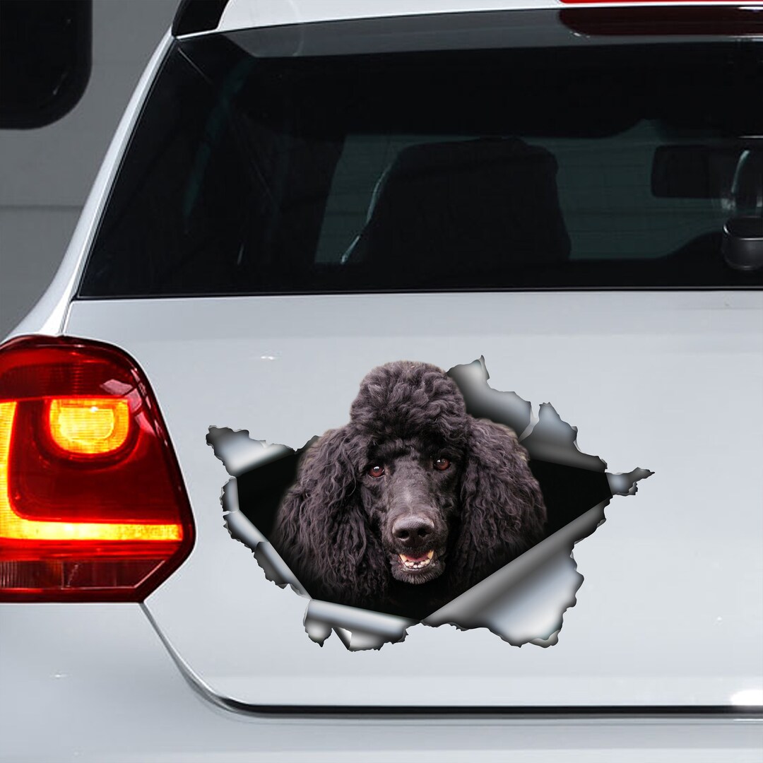 Black Poodle Decal , Black Poodle Magnet, Poodle Sticker, Poodle Car ...