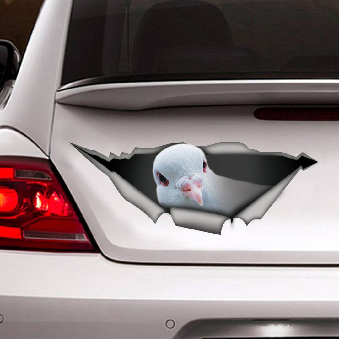 Dove Car Decal, Vinyl Decal, Dove Sticker, Bird Decal - Etsy