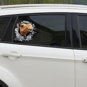 Camel Window Decal, Camel Car Sticker, Camel Car Decal, Funny Decal - Etsy