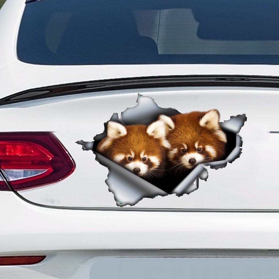 Funny Red Pandas Car Decal , Red Panda Magnet, Red Panda Sticker - Etsy