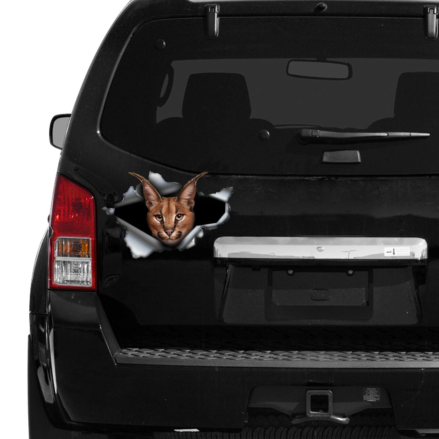 Caracal Car Decal , Caracal Magnet, Caracal Sticker - Etsy