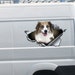 English Shepherd Car Decal, English Shepherd Magnet, English Shepherd ...