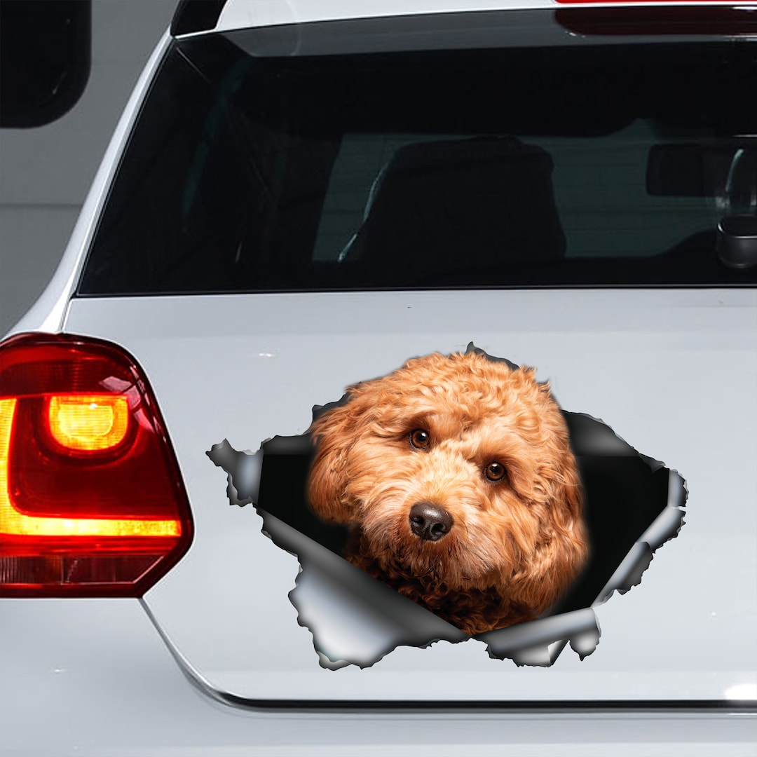 Cavapoo Decal , Cavoodle Sticker, Cavapoo Magnet, Cavadoodle Car Decal ...