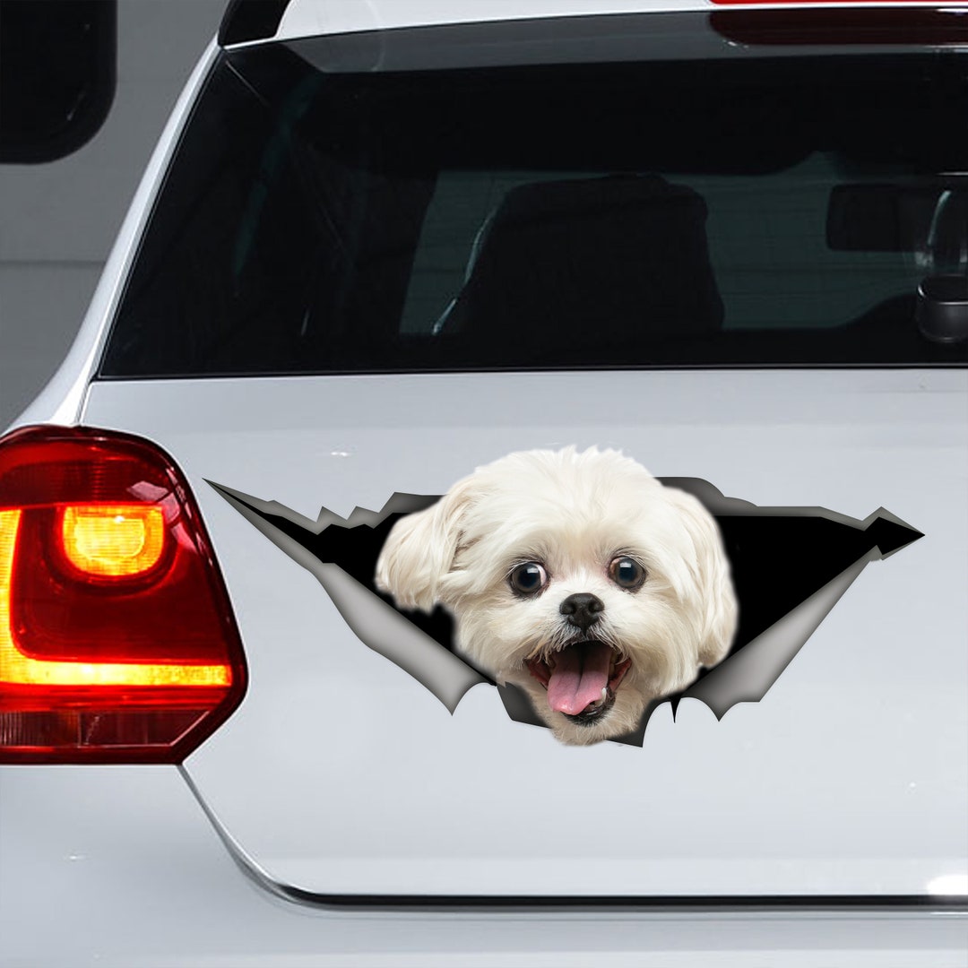 White Lhasa Apso Decal Lhasa Apso Car Sticker White Lhasa - Etsy