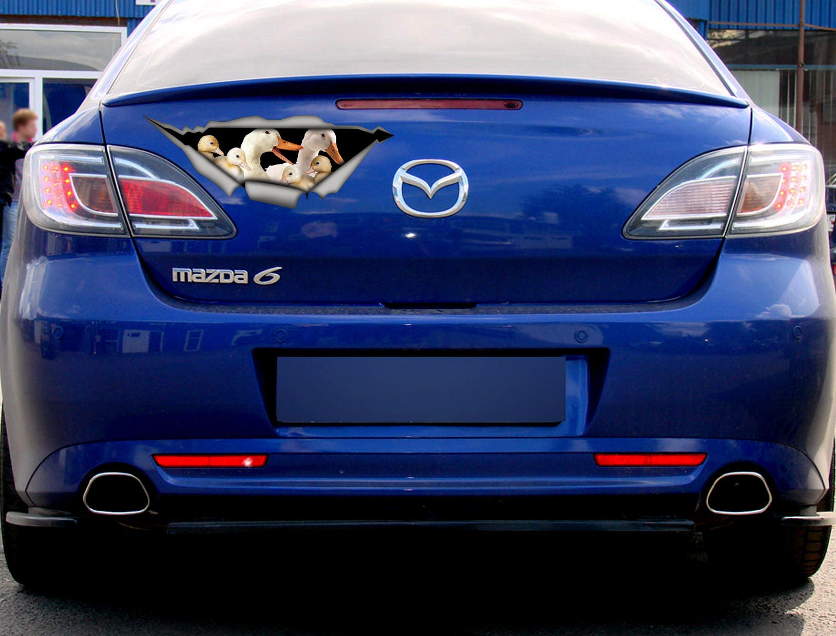 Ducks Car Decal Farm Decal Funny Duck Vinyl Decal Bird | Etsy