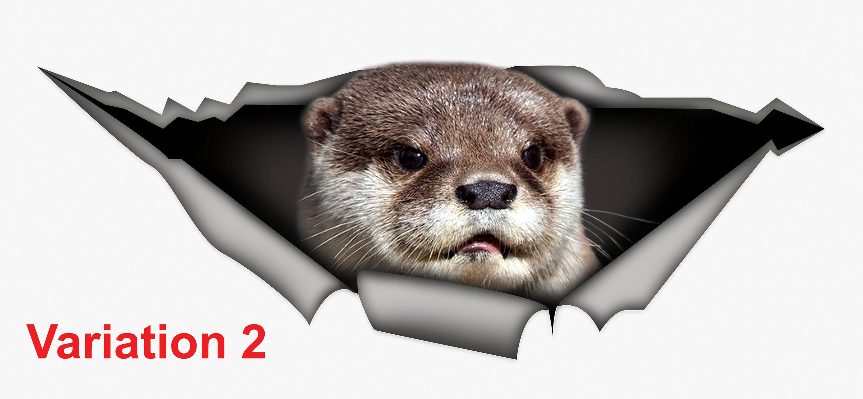 Otter Sticker, Otter Car Decal, Vinyl Decal, Car Decoration, Pet Decal ...