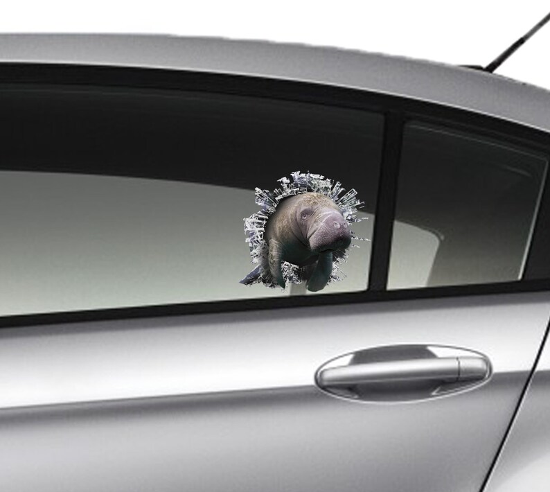 Manatee Window Decal Car Sticker Manatee Car Decal - Etsy