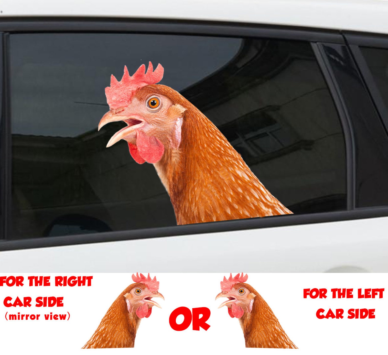 Red Chicken Window Sticker, Car Sticker, Red Chicken Car Decal, Funny ...