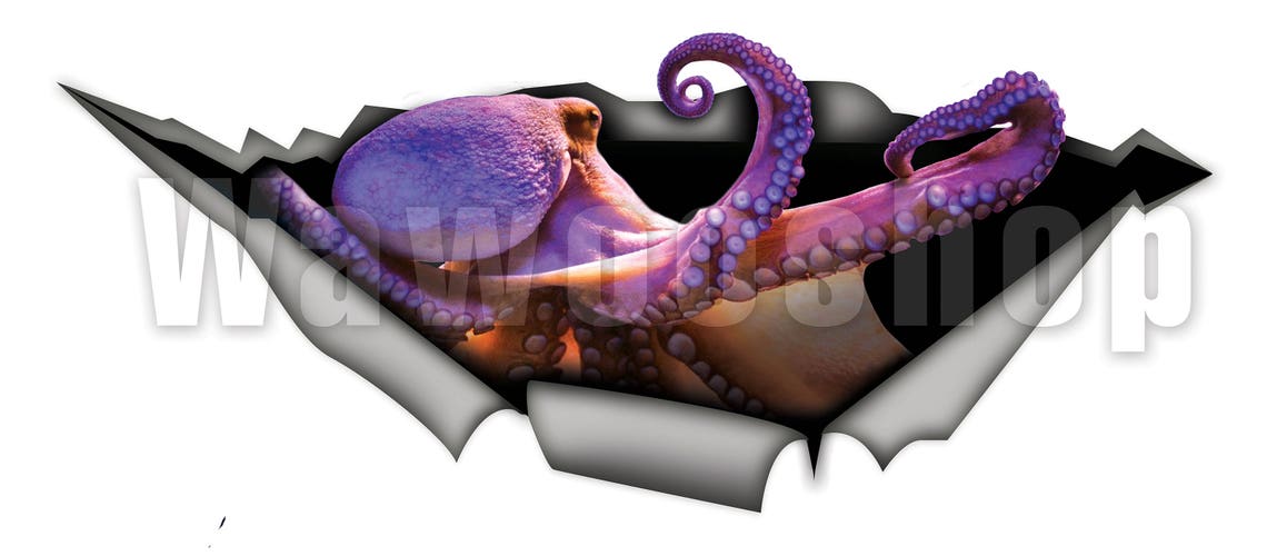 Octopus car decal Vinyl decal car decoration sea decal | Etsy