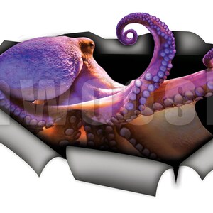 Octopus Car Decal, Vinyl Decal, Car Decoration, Sea Decal, Octopus ...