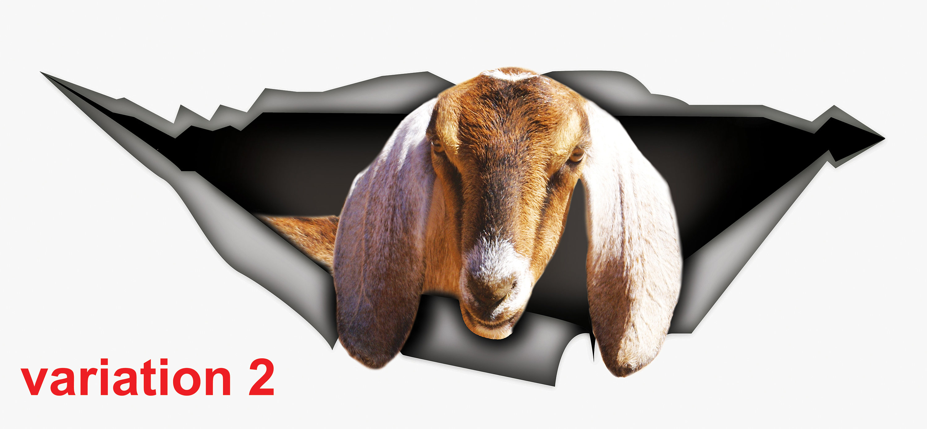 Nubian Goat Car Decal Farm Decal Goat Sticker Funny Decal - Etsy Canada