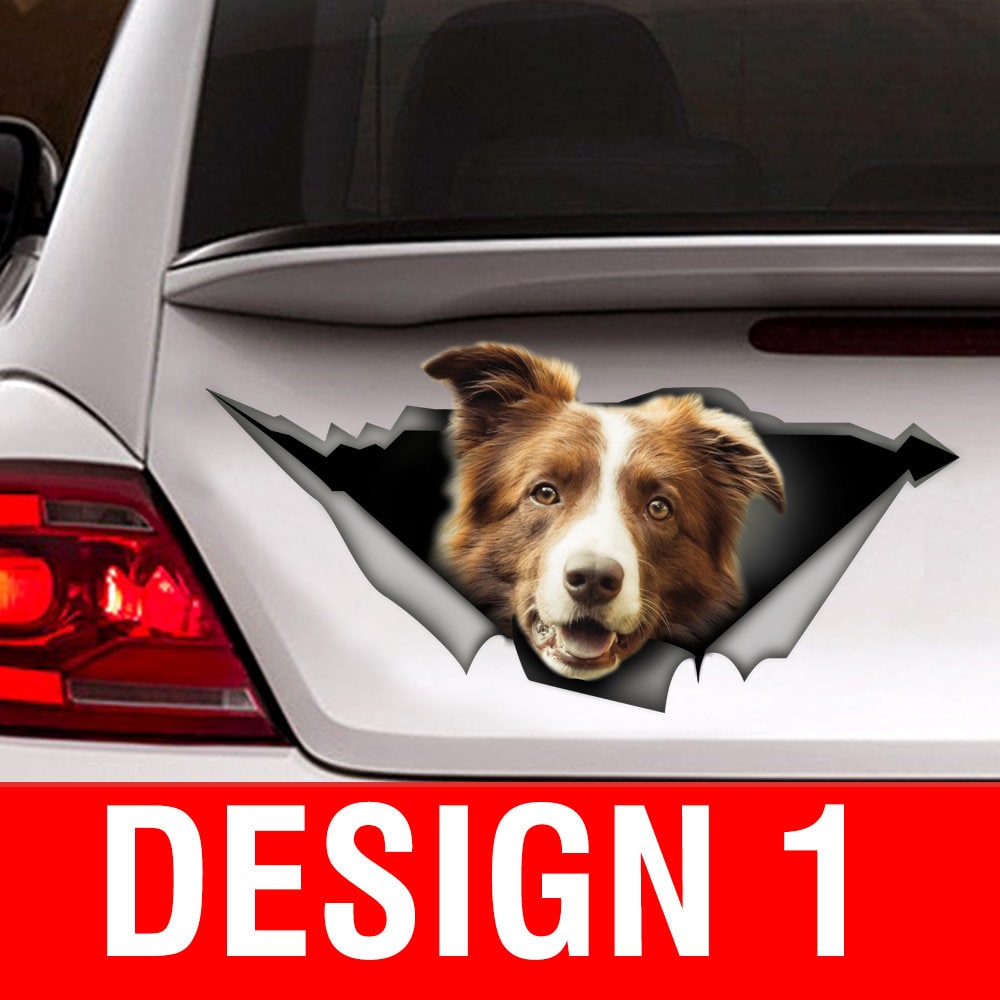 STICKER/ Brown and White Border Collie Car Sticker Dog Car - Etsy