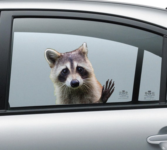 Raccoon Window Sticker Animal Decal 3D Sticker Vinyl - Etsy