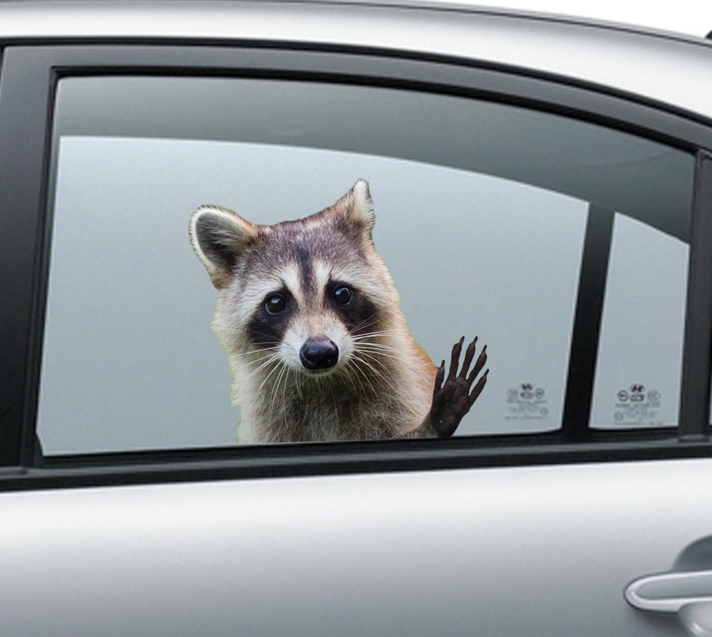 Raccoon Window Sticker , Animal Decal, 3D Sticker, Vinyl Decal, Funny ...