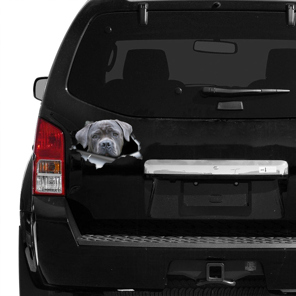 Gray Cane Corso Car Decal, Gray Cane Corso Magnet, Gray Cane Corso ...