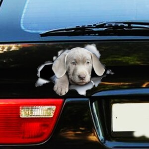 Silver Lab Puppy Car Decal, Lab Decal, Silver Labrador Sticker, Pet ...