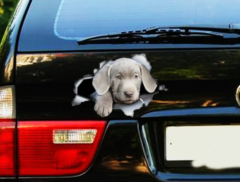 Silver Lab Puppy Car Decal, Lab Decal, Silver Labrador Sticker, Pet ...