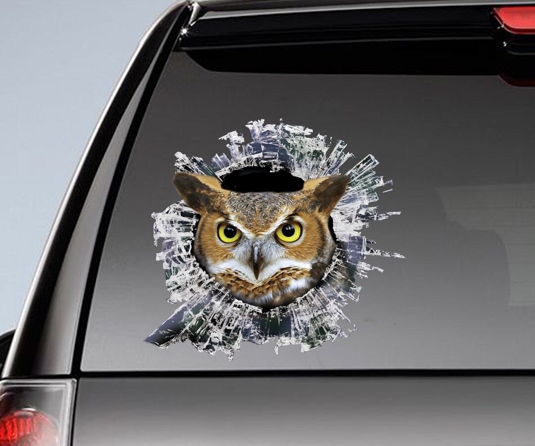 Owl Window Sticker , Owl Window Decal, Laptop Sticker, Funny Decal, Owl ...