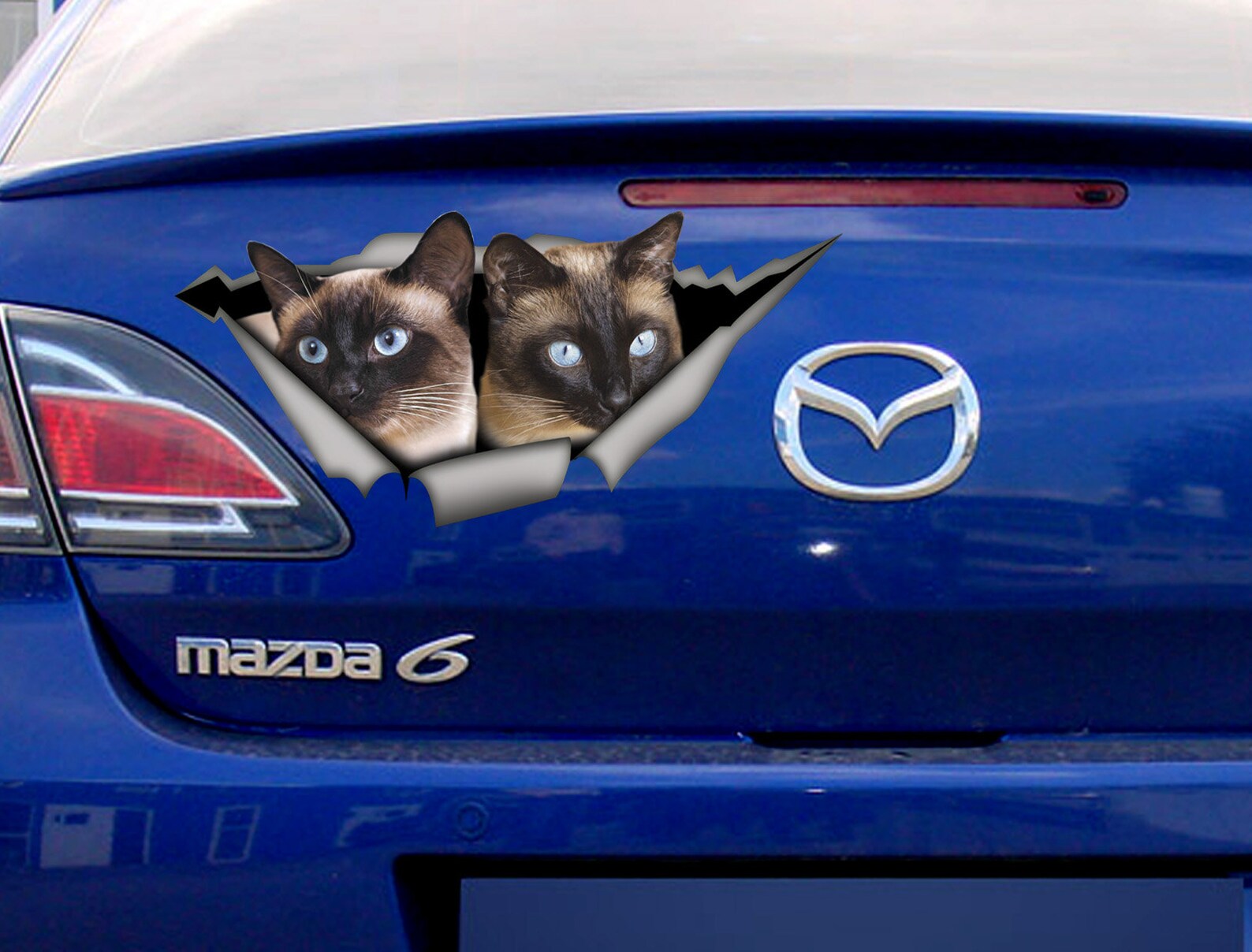 Siamese Cat Magnet Siamese Cat Car Decal Cat Car Sticker - Etsy