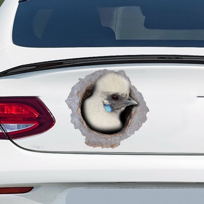 White Silkie Chicken Car Decal , Silkie Magnet, Funny Hen Car Sticker ...