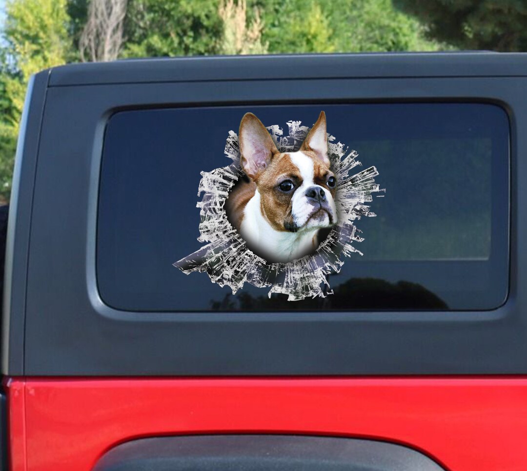 Fawn Boston Terrier Window Sticker, Boston Terrier Car Sticker - Etsy