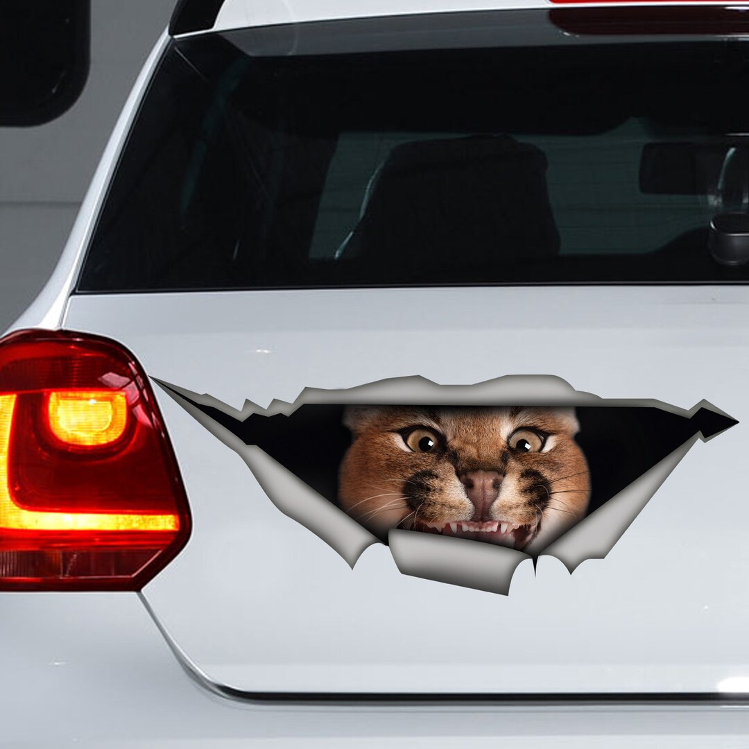 Caracal Car Sticker, Caracal Car Decal, Caracal Magnet - Etsy