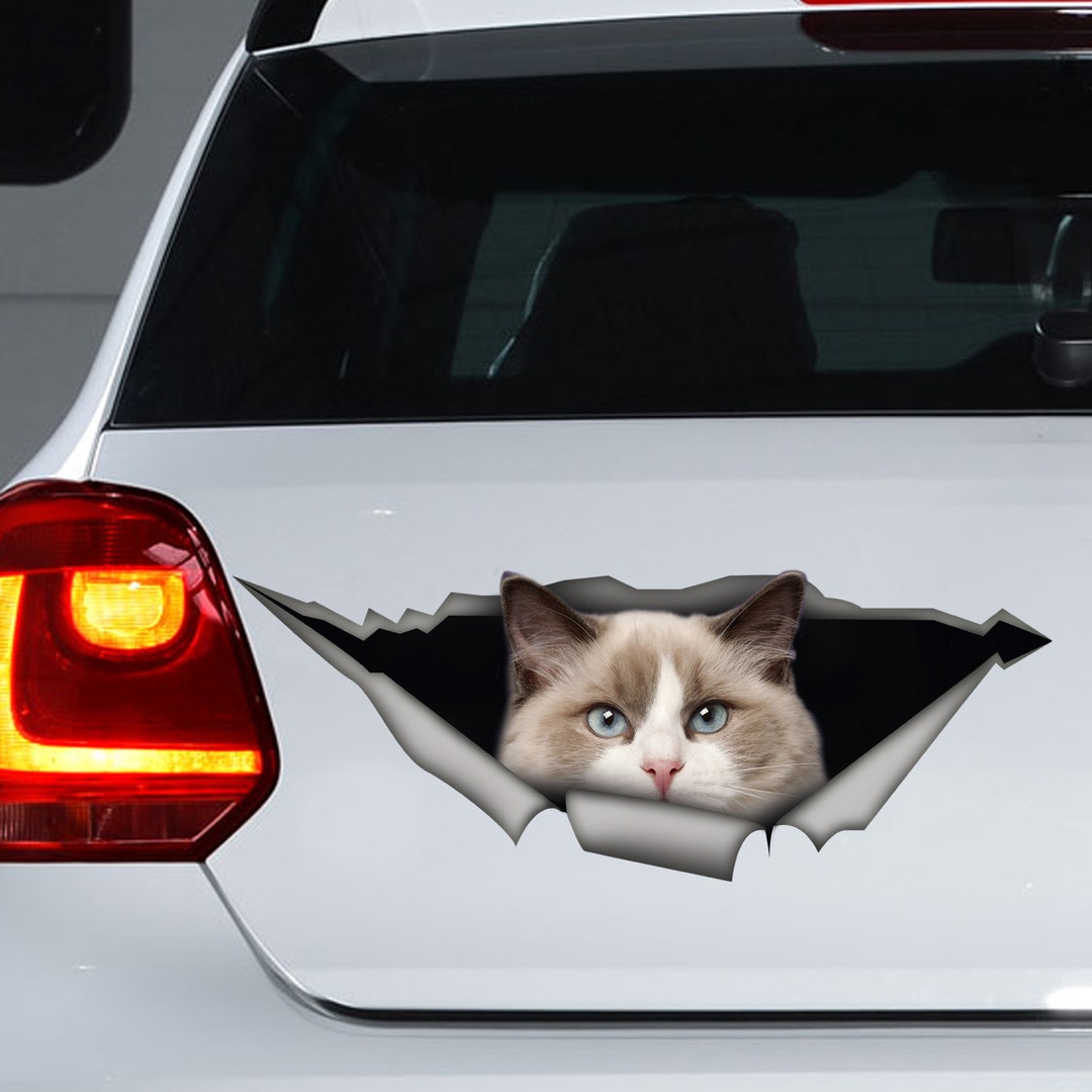 Cute Cat Car Decal, Ragdoll Car Decal, Ragdoll Cat Magnet - Etsy