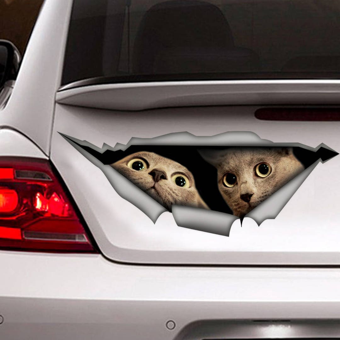 Funny Cat Decal, Funny Sticker, Cat Car Sticker, Gray Cat - Etsy