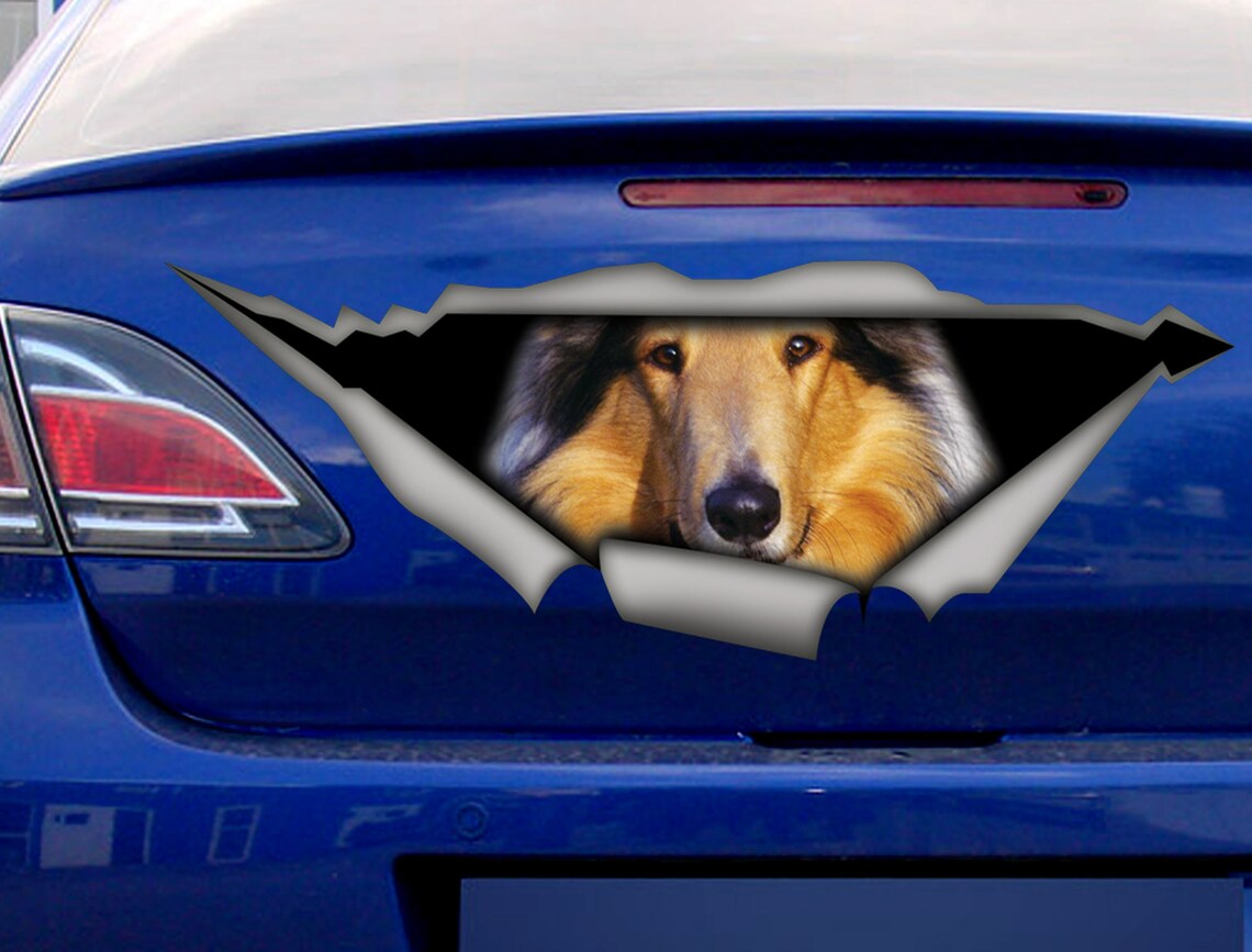 Collie Sticker Car Decal Vinyl Decal Pet Sticker Dog | Etsy