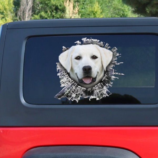 White Lab - Etsy
