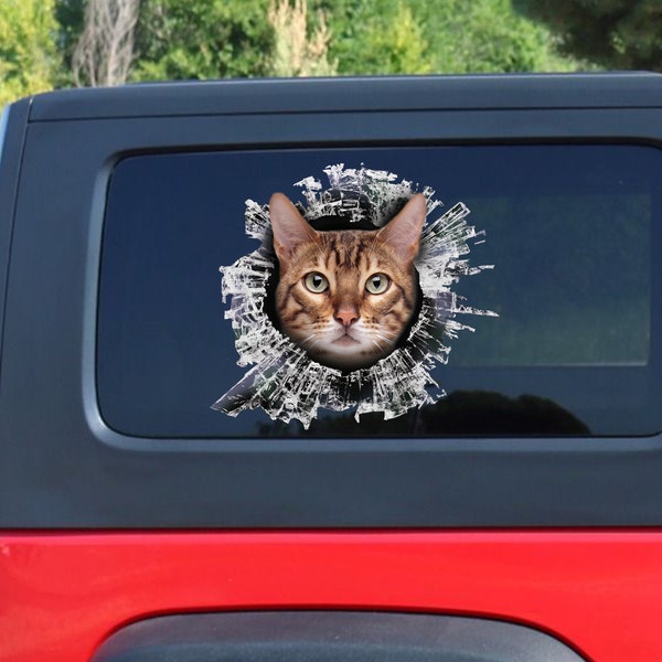 Cat Window - Etsy