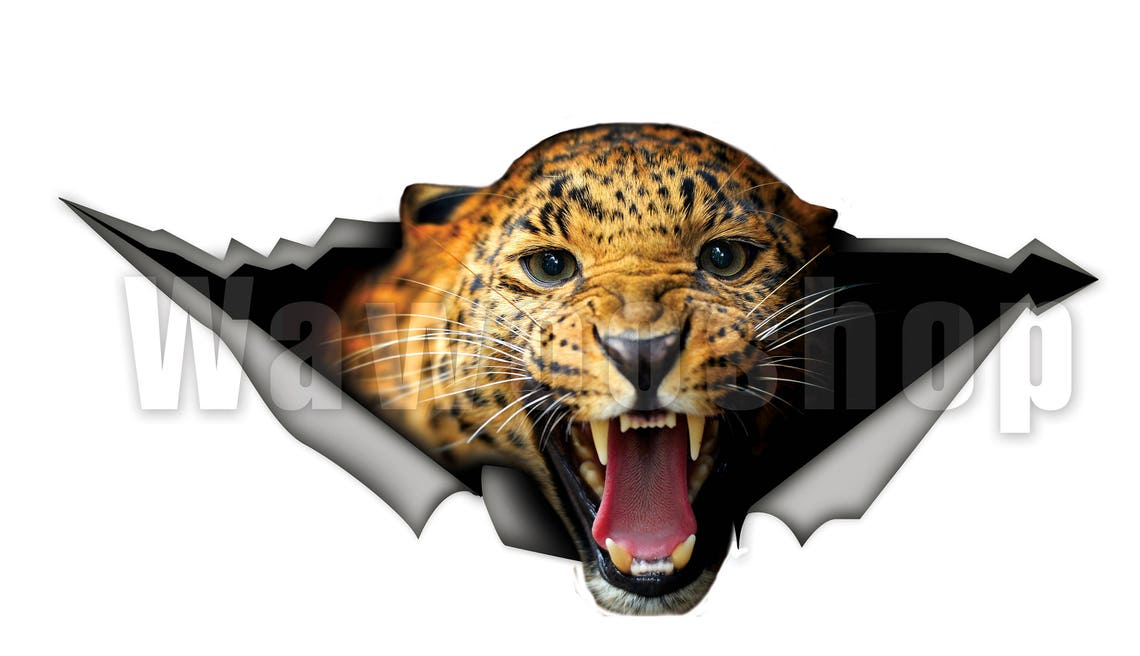 Leopard Car Decal Vinyl Decal Animal Sticker Leopard Decal - Etsy