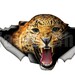 Leopard Car Decal, Vinyl Decal, Animal Sticker, Leopard Decal, Cat ...