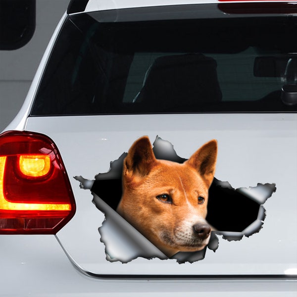 Dingo Car Decal - Etsy