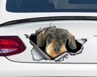 Teckel sticker - Etsy Nederland