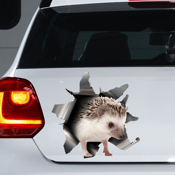 Hedgehog Decal - Etsy