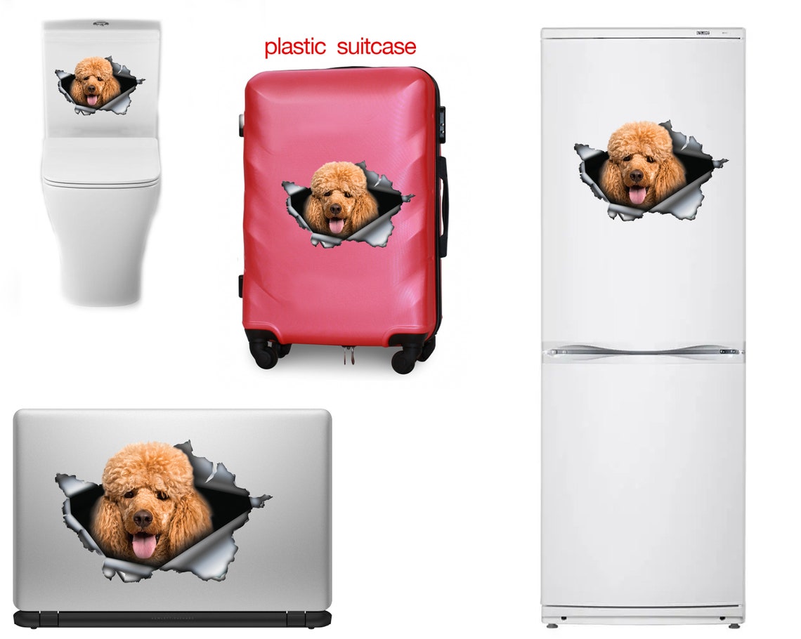 Red Poodle Decal Poodle Magnet Red Poodle Sticker Poodle - Etsy