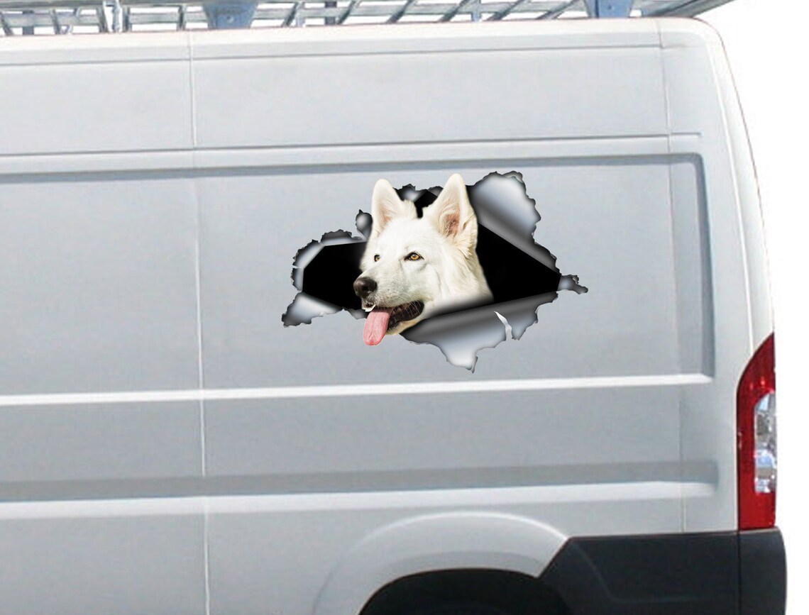 Decalcomania per auto pastore svizzero bianco decalcomania - Etsy Italia