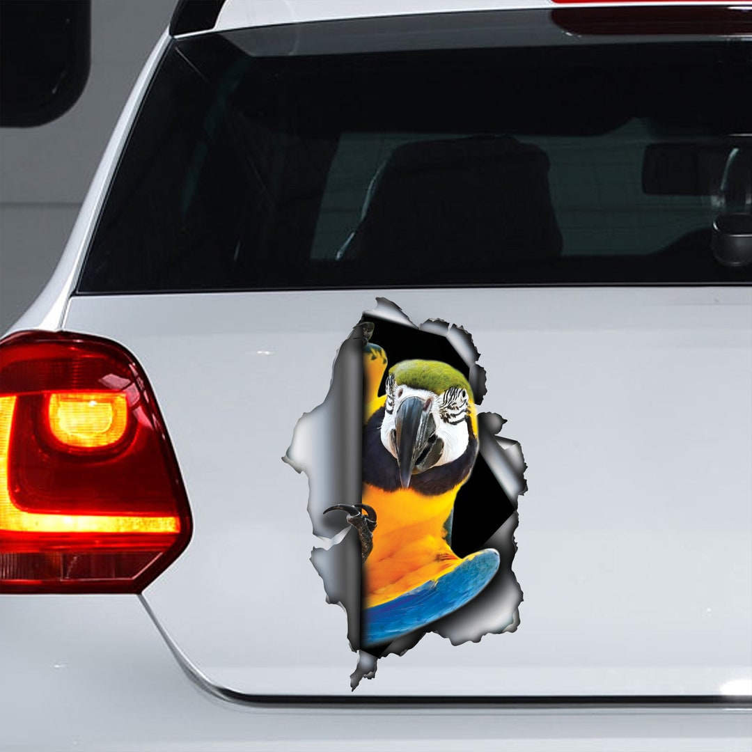 Yellow and Blue Macaw Decal, Macaw Magnet, Macaw Sticker, Macaw Car ...
