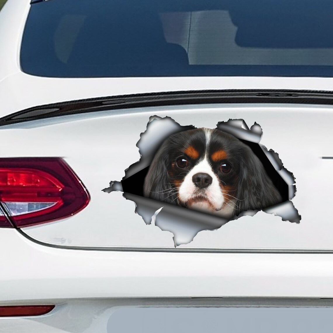 Cavalier King Charles Car Decal Cavalier King Magnet - Etsy