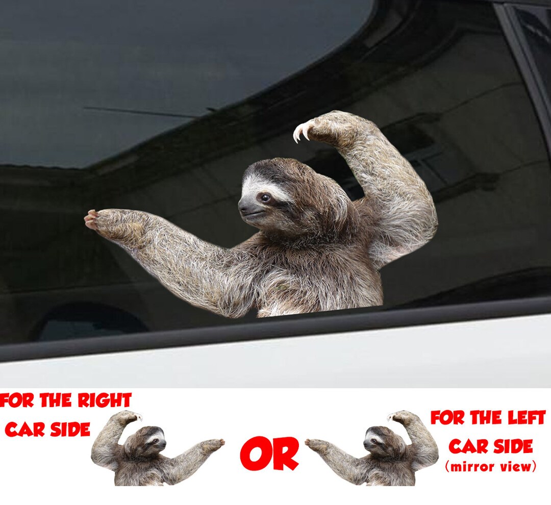 Sloth Window Sticker, Car Sticker, Sloth Car Decal, Funny Sticker - Etsy