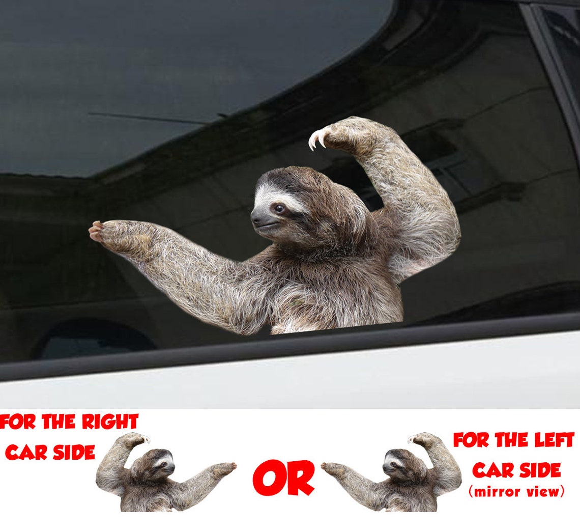 Sloth Window Sticker Car Sticker Sloth Car Decal Funny - Etsy