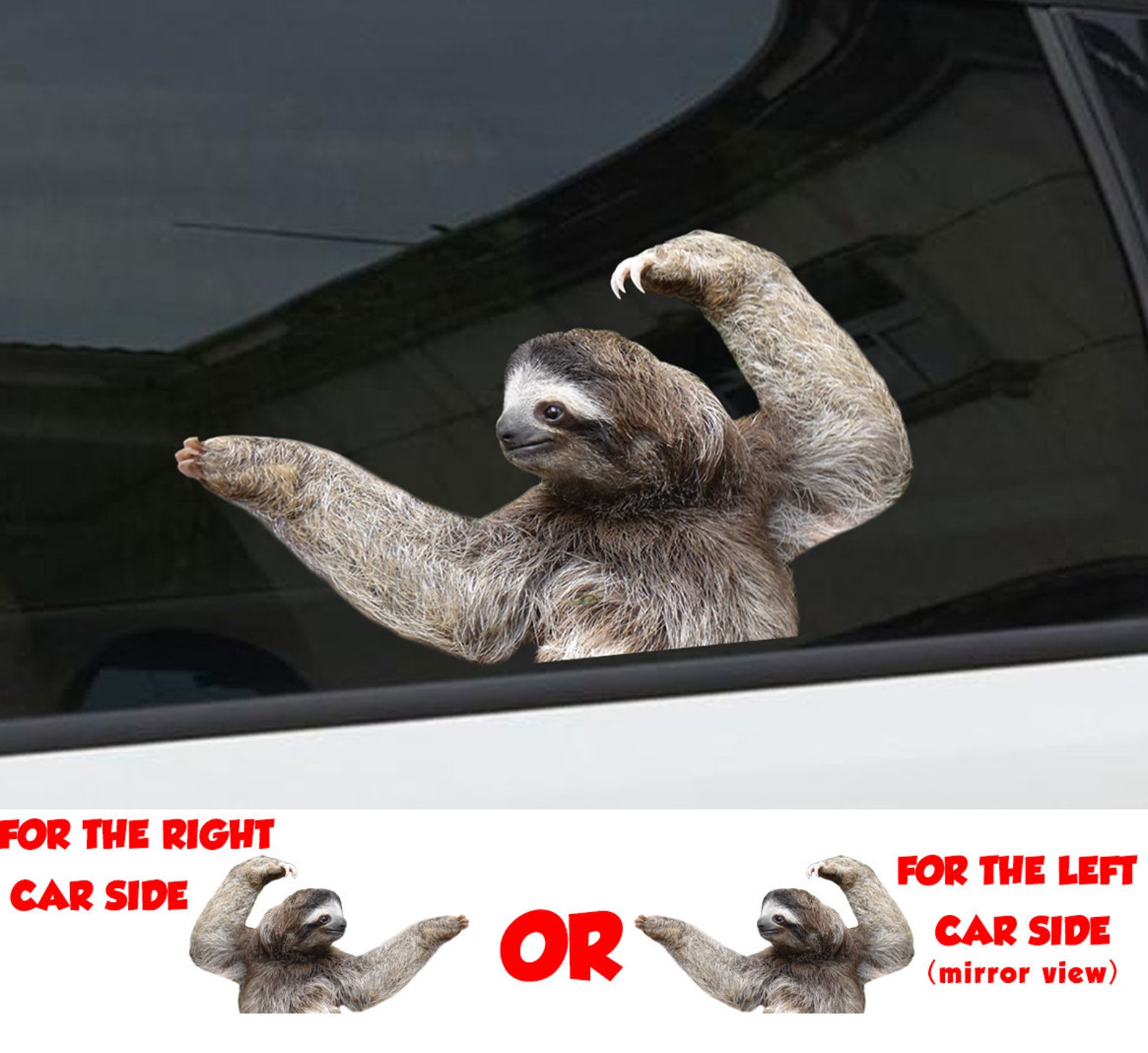 Sloth Window Sticker Car Sticker Sloth Car Decal Funny - Etsy