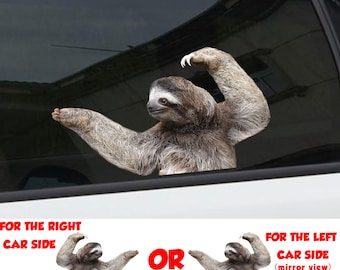Sloth Car Window Decal | Etsy