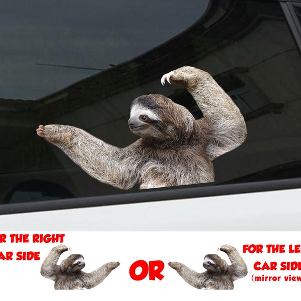 Sloth Sticker - Etsy