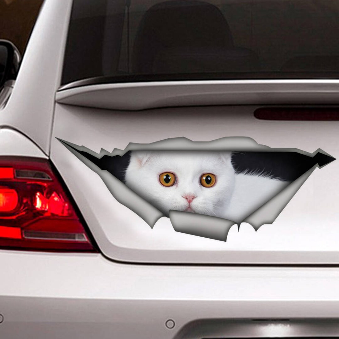 White Scottish Fold Decal, White Cat Car Decal, Funny Sticker, Cat Car ...