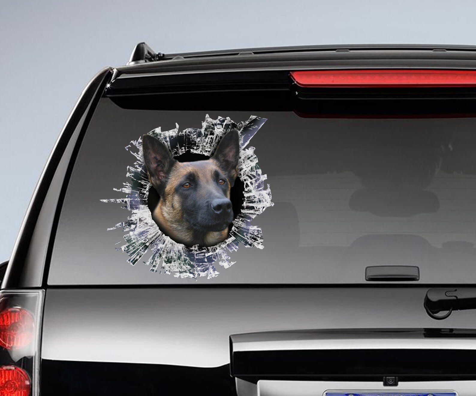 Belgian Malinois Window Decal Belgian Malinois Car Sticker - Etsy