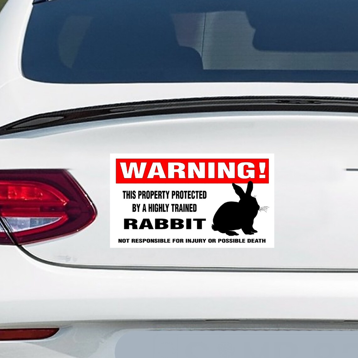 Warning Rabbit Sticker 4x8 Inch Rabbit Decal Funny Sticker | Etsy