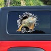 STICKER. Funny Raccoon Window Sticker , Animal Decal, 3D Sticker, Funny ...